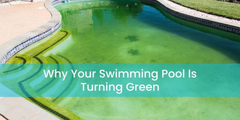 Why Your Swimming Pool Still Green After Shocking? Complete Information